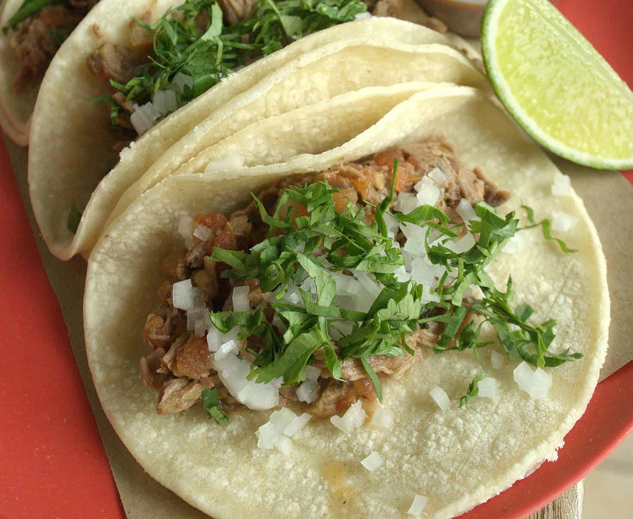 Why is the City Making it so Hard to Visit the Amazing Molli Cafe ...