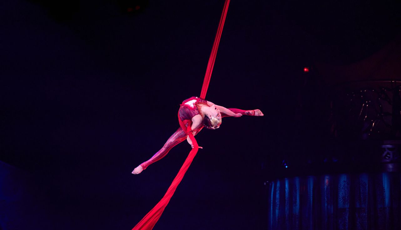 Gift Idea: Buy Everyone You Know Tickets to the Circus