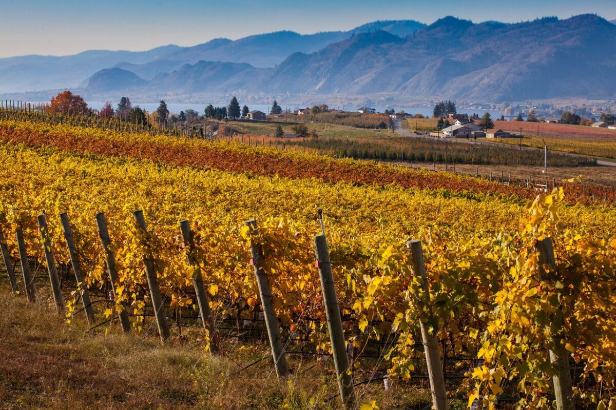 Unlock the Magic of Fall in Osoyoos: Here’s Why It’s a Must-Visit ...