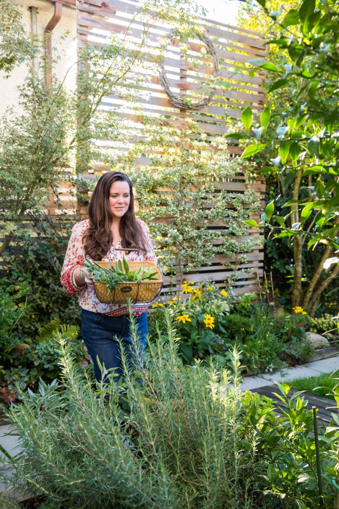 How Seed Libraries Will Be Our Salvation - Vancouver Magazine