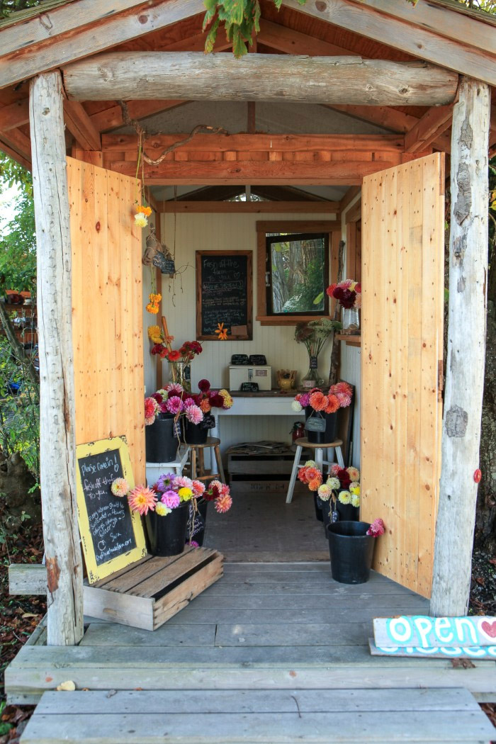 How Seed Libraries Will Be Our Salvation - Vancouver Magazine