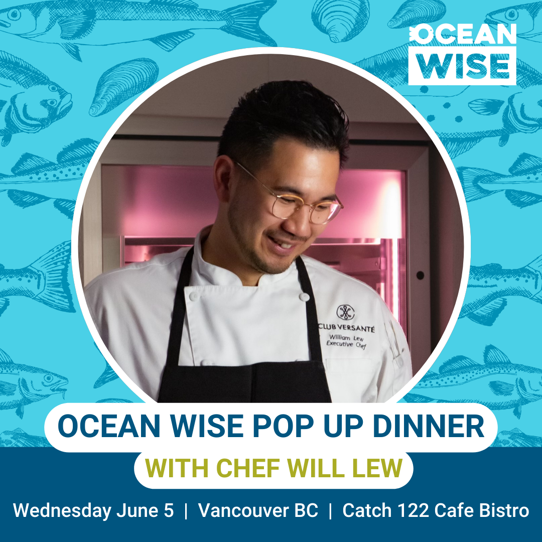Ocean Wise Pop Up Dinner x Chef Will Lew - Vancouver Magazine