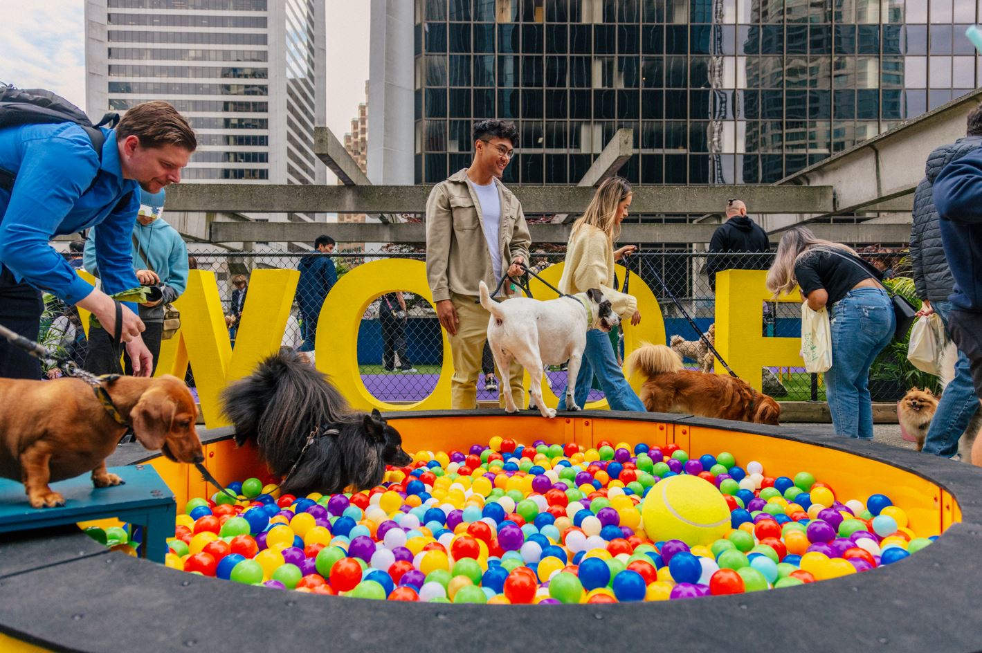 Bark Park - Vancouver Magazine